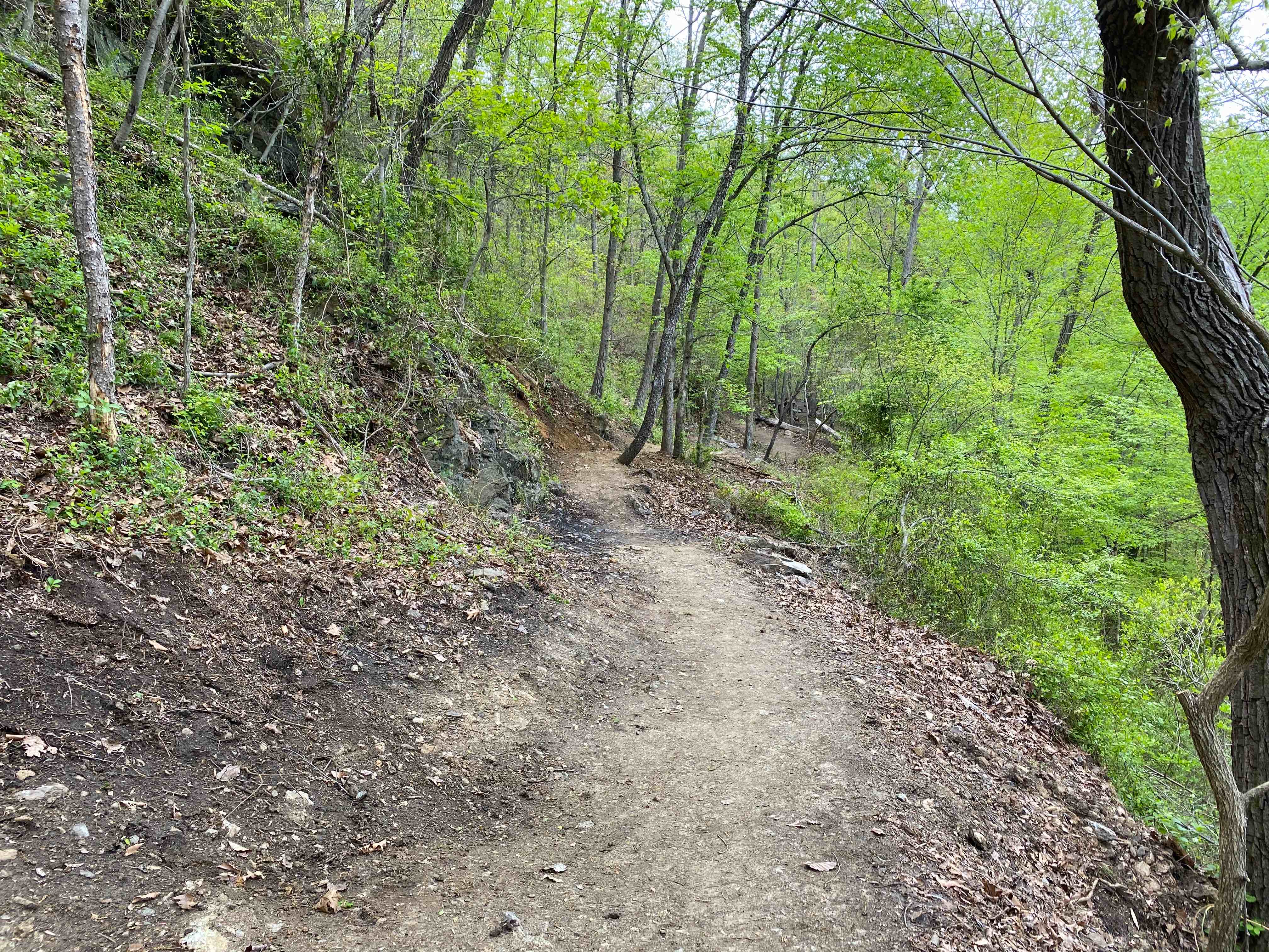 oec-trail – Friends of Patapsco Valley State Park
