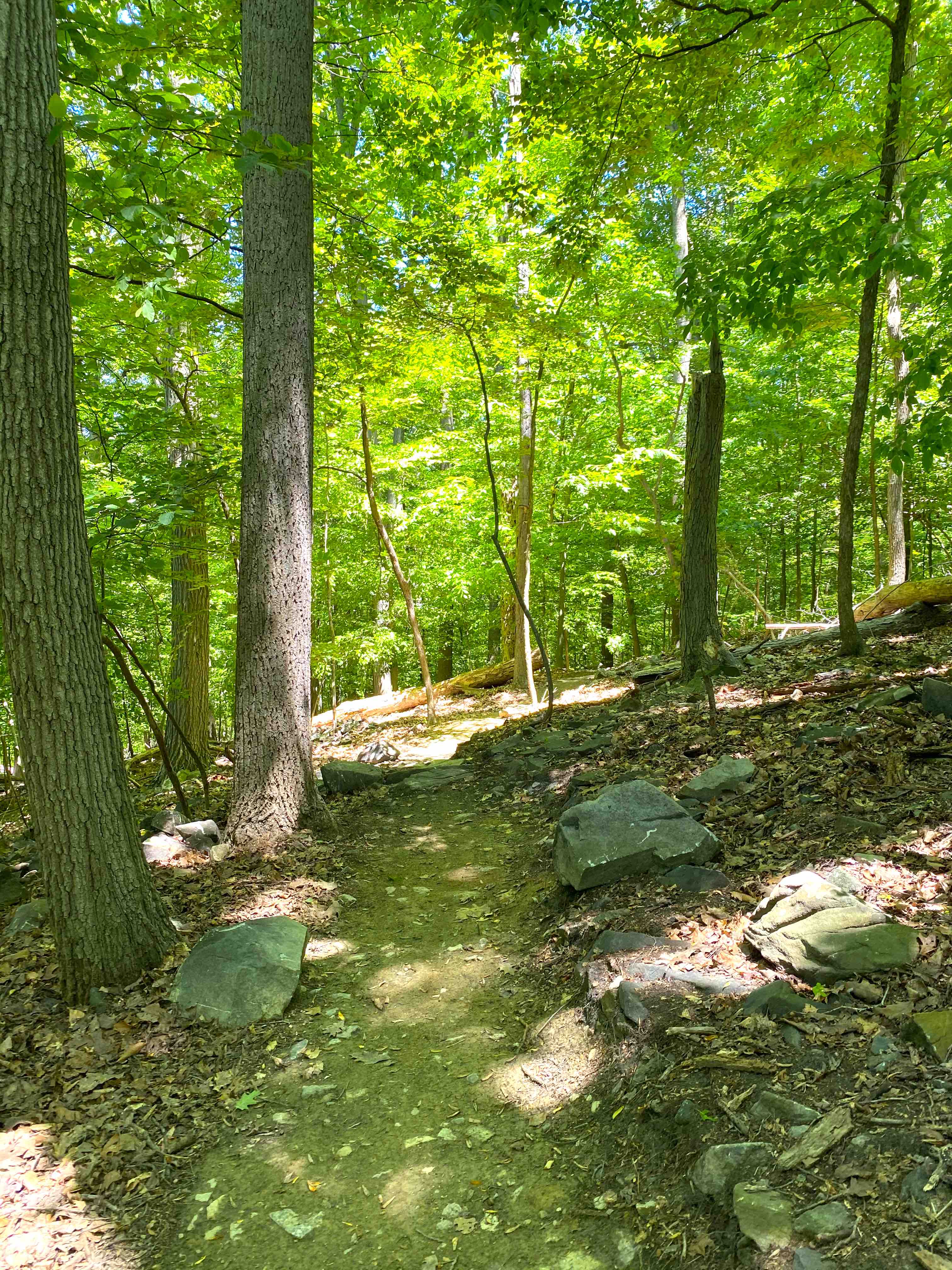 from-701 – Friends of Patapsco Valley State Park